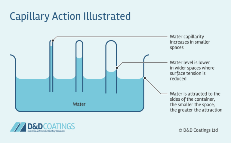 What is Capillarity? Used of capillarity effect - Merchant Navy Decoded