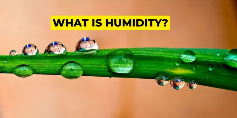 What is humidity and dew point?