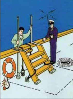 Pilot Ladder & Pilot Boarding Arrangement