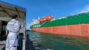 Wallem Group - Merchant Navy Decoded